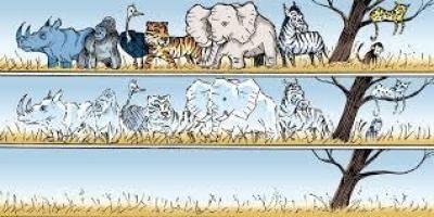 Endangered Animals | Schoolers Digest